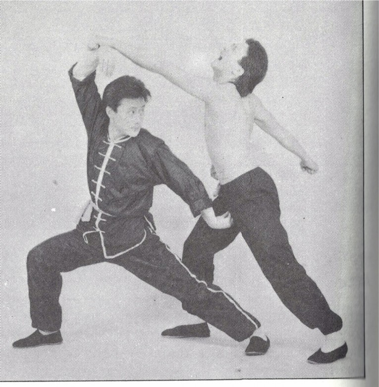 Drunken Monkey Kung Fu - Kung-fu Kingdom