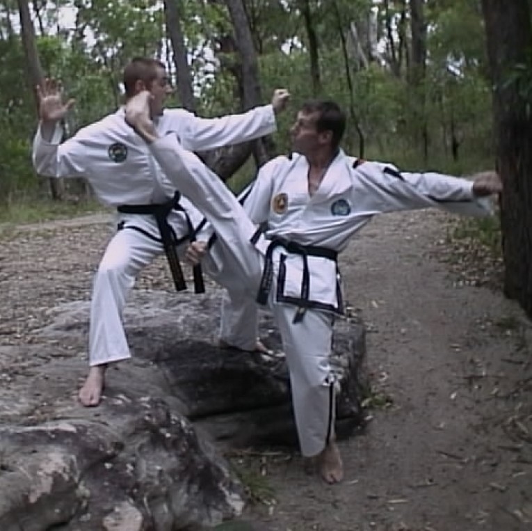 Martial Art of the Month: Taekwondo - Kung-fu Kingdom
