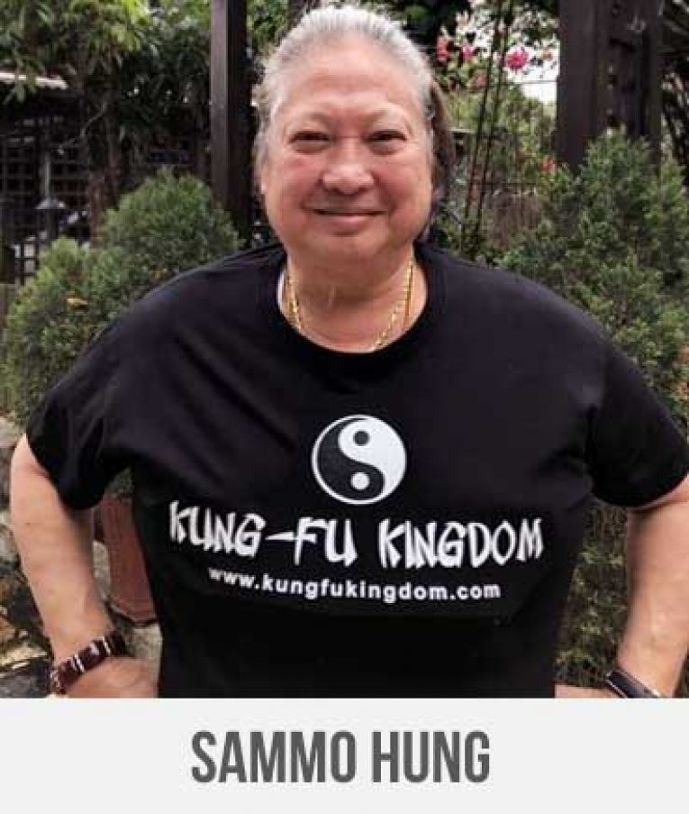 Top 10 Martial Arts Movies for Kids! - Kung-fu Kingdom