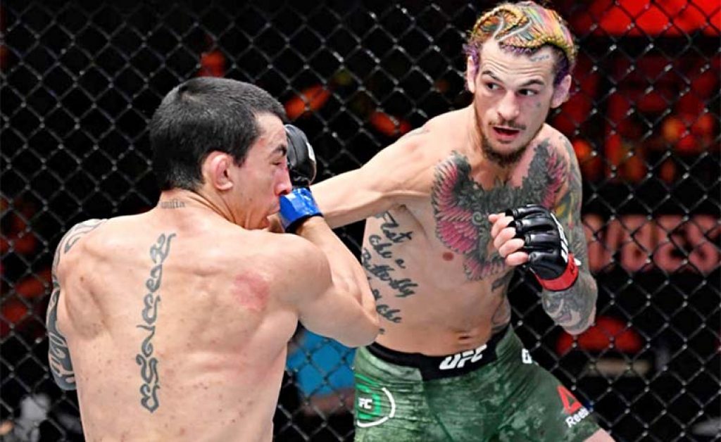 Sean “Sugar” O'Malley: Top 5 MMA Finishes - Kung-fu Kingdom