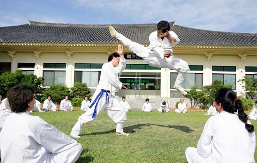 UNESCO: How It Protects the Cultural Heritage of Martial Arts