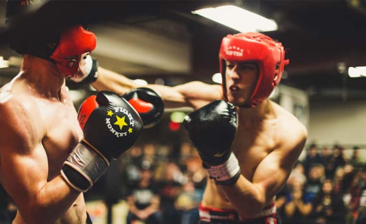 The Science of the Strike: Optimizing Power, Speed, and Focus - Kung-fu ...